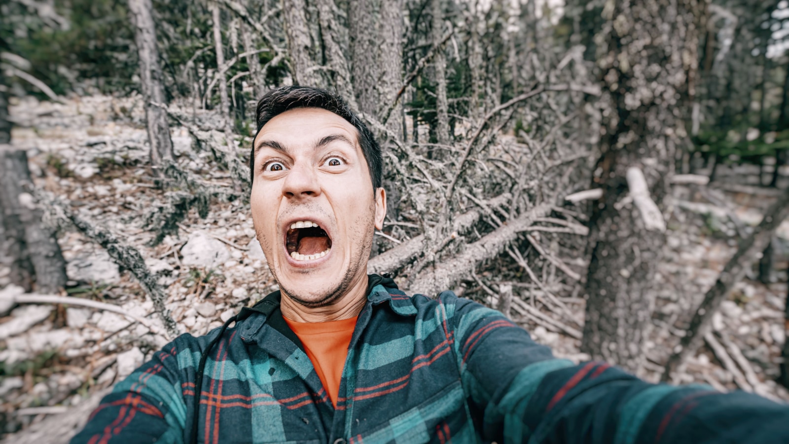 10 Horror Stories From Hiking Trips Shared by Adventurers - Glam Globe ...